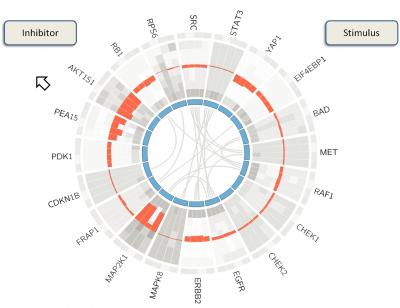 BioWheel (2 of 2) [IMAGE] | EurekAlert! Science News Releases