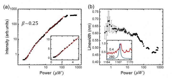 Lasing behaviour of the corner [IMAGE] | EurekAlert! Science News Releases