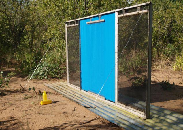 For controlling tsetse flies, fabric color ma | EurekAlert!