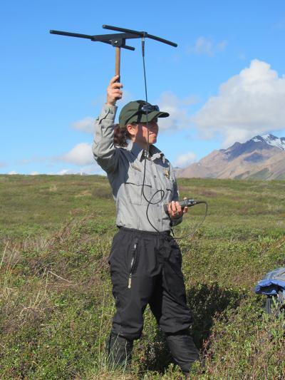 Bridget Borg Radio Tracks Wolv [IMAGE] | EurekAlert! Science News Releases