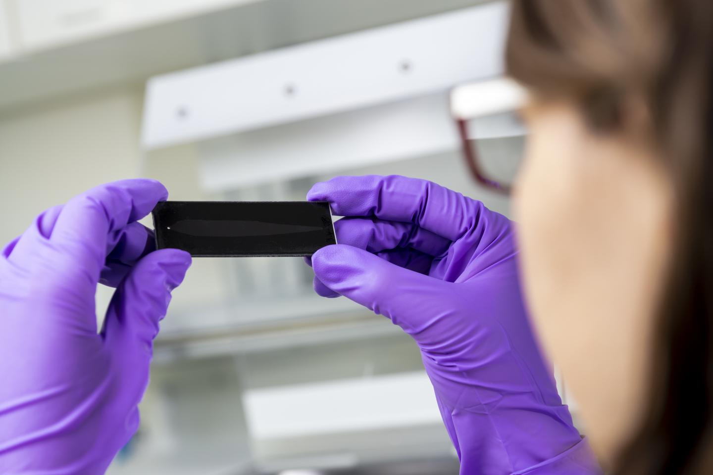 Measuring chip [IMAGE] | EurekAlert! Science News Releases