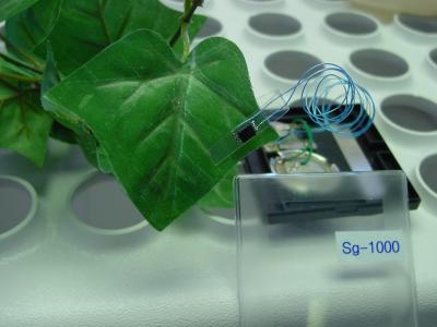 AgriHouse Leaf Sensor [IMAGE] | EurekAlert! Science News Releases