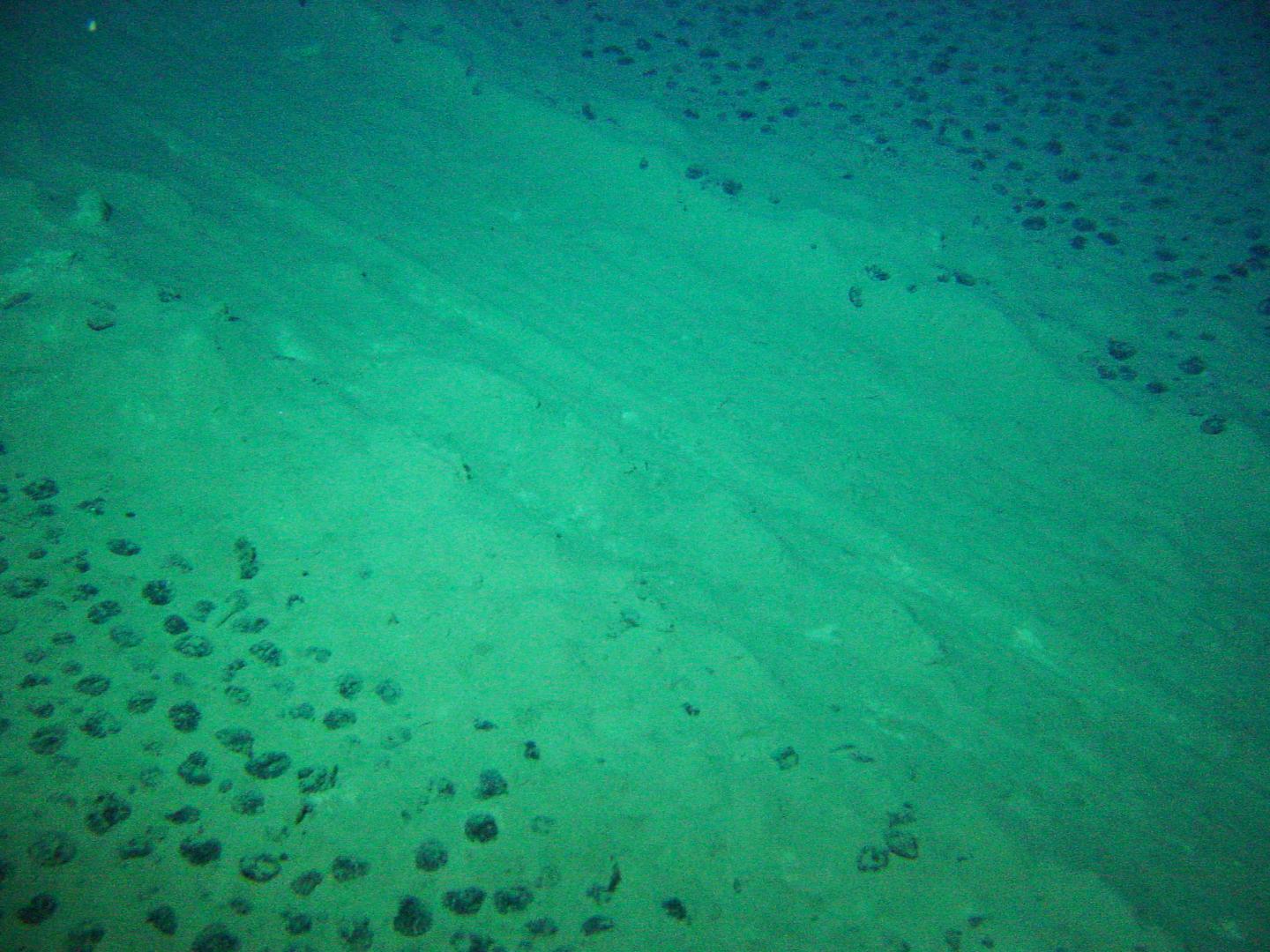 26-Year-Old Mining Plow Trench [IMAGE] | EurekAlert! Science News Releases