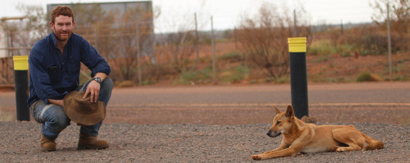 Dr Thomas Newsome with dingo. [IMAGE] | EurekAlert! Science News Releases