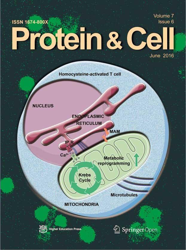 Protein & Cell [IMAGE] | EurekAlert! Science News Releases