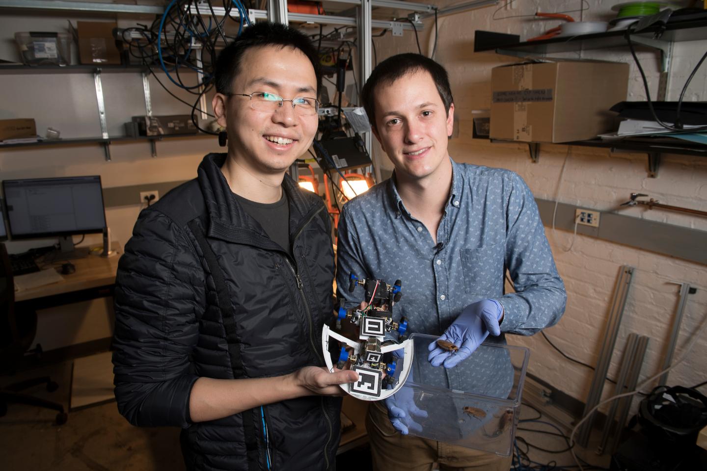 Can a cockroach teach a robot how to scurry a | EurekAlert!