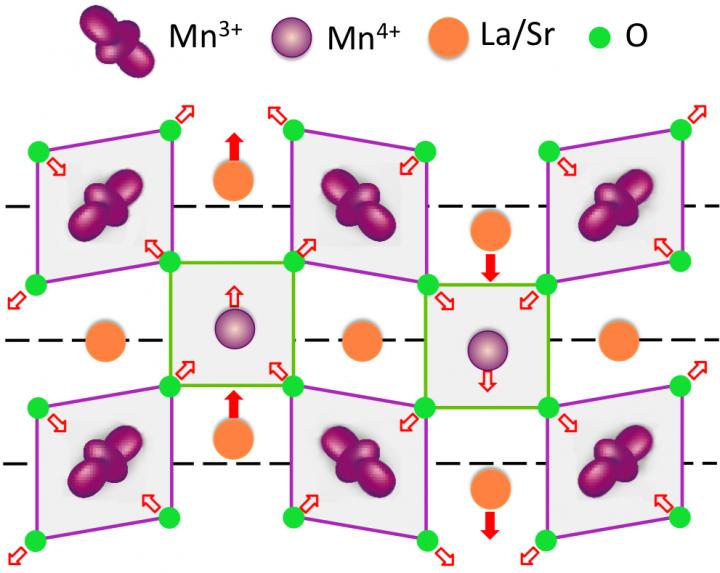 Key Findings: Evidence of Pola [IMAGE] | EurekAlert! Science News Releases