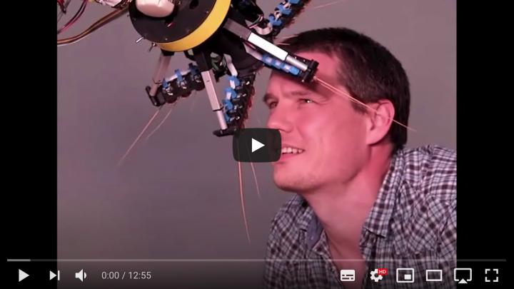 Video: Perception and Recognit [IMAGE] | EurekAlert! Science News Releases