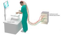 Cutting-Edge Brain Imaging Method Accurately | EurekAlert!