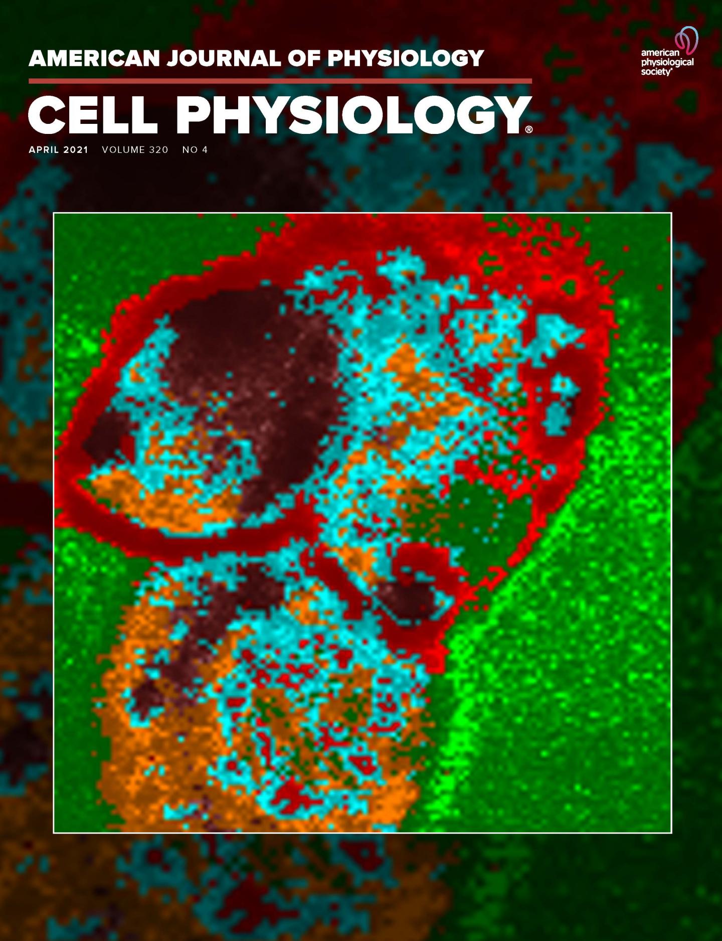 UofL Biologists Create Better Method To Culture Cells For Testing Drug