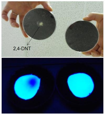 Novel Explosive Detection Syst [IMAGE] | EurekAlert! Science News Releases