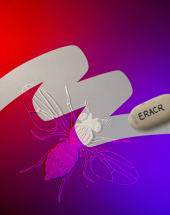 ERACR graphic [IMAGE] | EurekAlert! Science News Releases