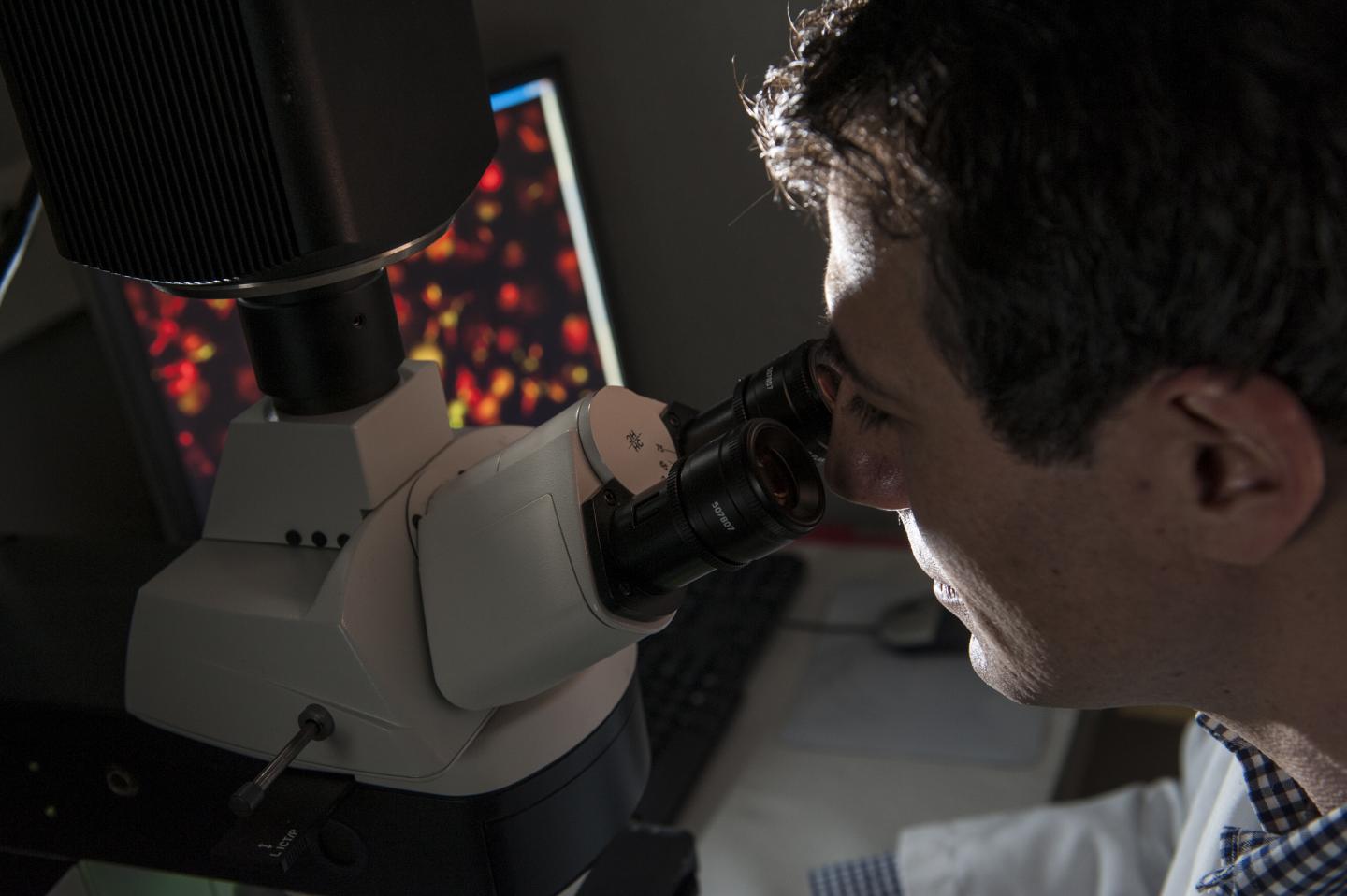 Robert Abramovitch, Michigan S [IMAGE] | EurekAlert! Science News Releases