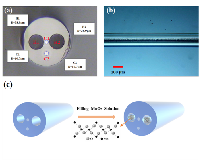 γ-MnO2 dual-core, pair-hole fiber for ultrafa | EurekAlert!