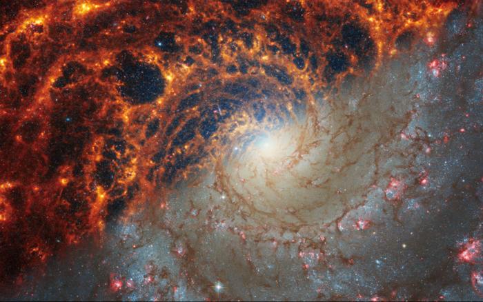 Face-on spiral galaxy, NGC 628 [IMAGE] | EurekAlert! Science News Releases