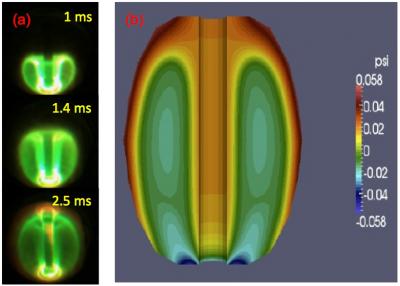 Plasma Simulation and Experime [IMAGE] | EurekAlert! Science News Releases