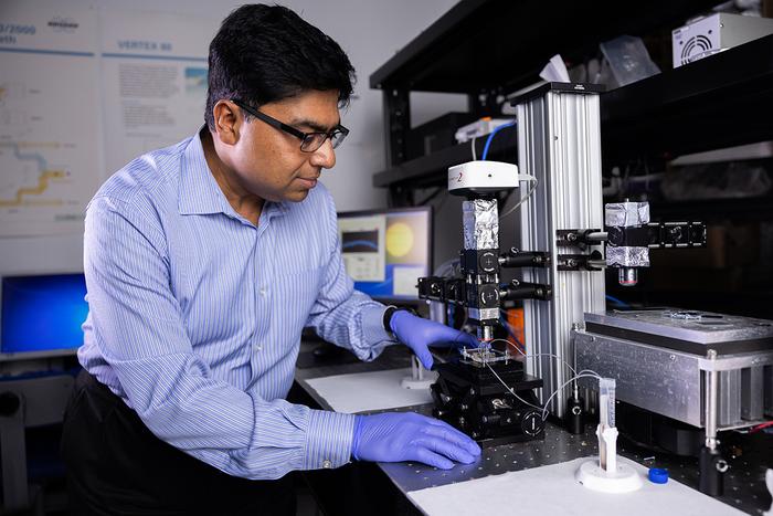 Professor Debashis Chanda [IMAGE] | EurekAlert! Science News Releases