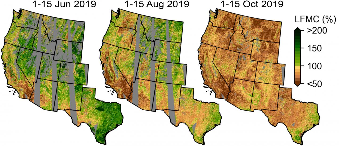 Live Fuel Moisture Content [IMAGE] | EurekAlert! Science News Releases