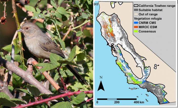 Towhee and Climate Map [IMAGE] | EurekAlert! Science News Releases