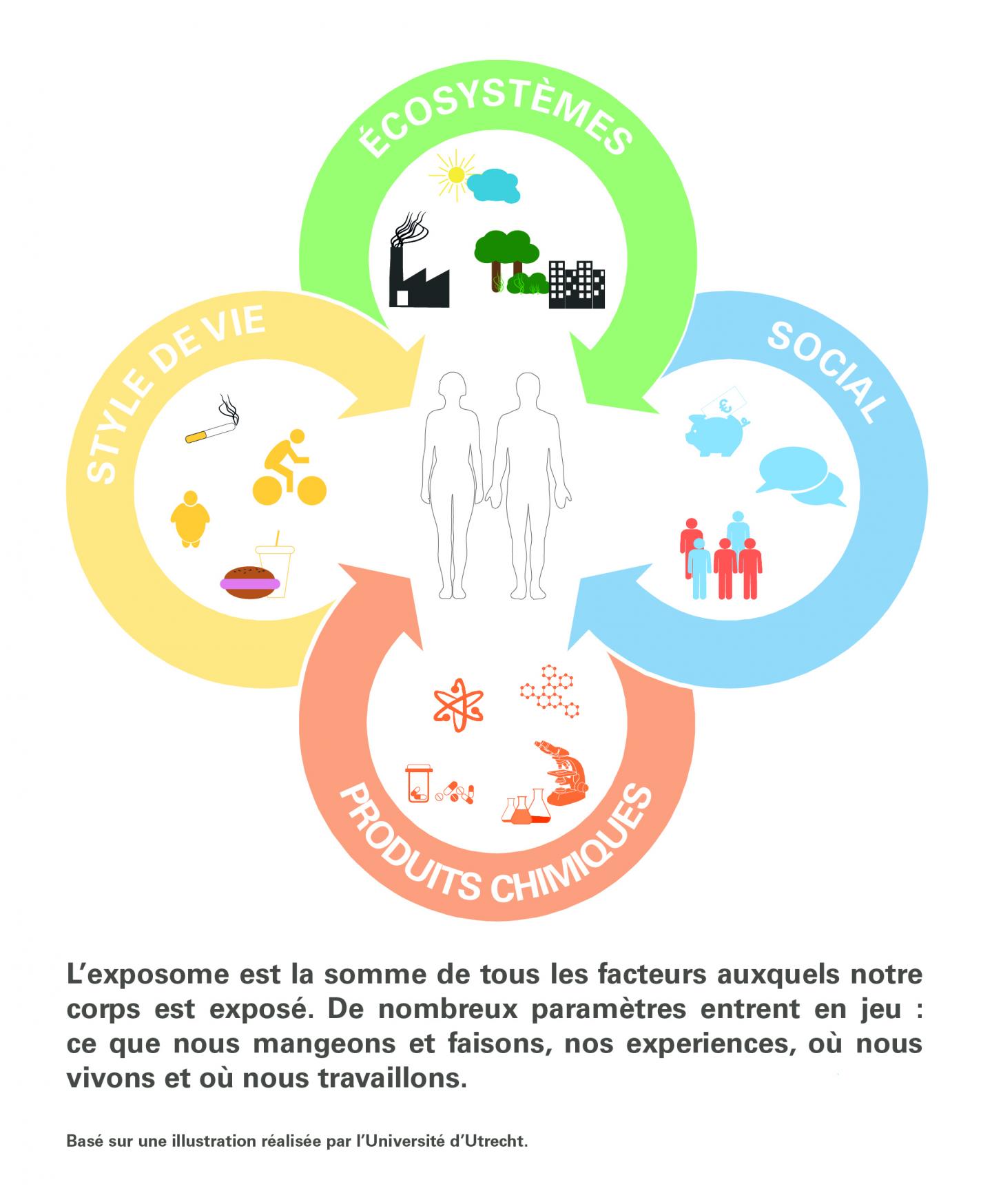Exposome Illustration (2 of 2) [IMAGE] | EurekAlert! Science News Releases