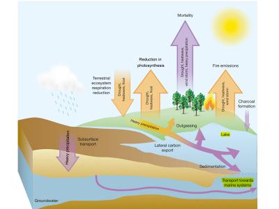 Extreme Weather Consequences [IMAGE] | EurekAlert! Science News Releases