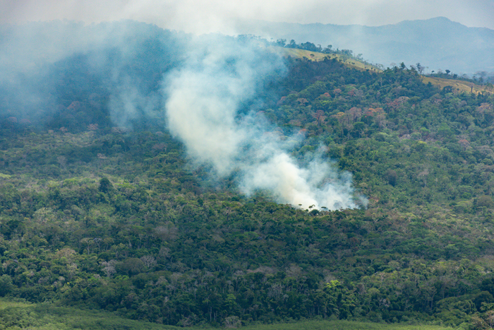 Human impacts on tropical fore [IMAGE] | EurekAlert! Science News Releases