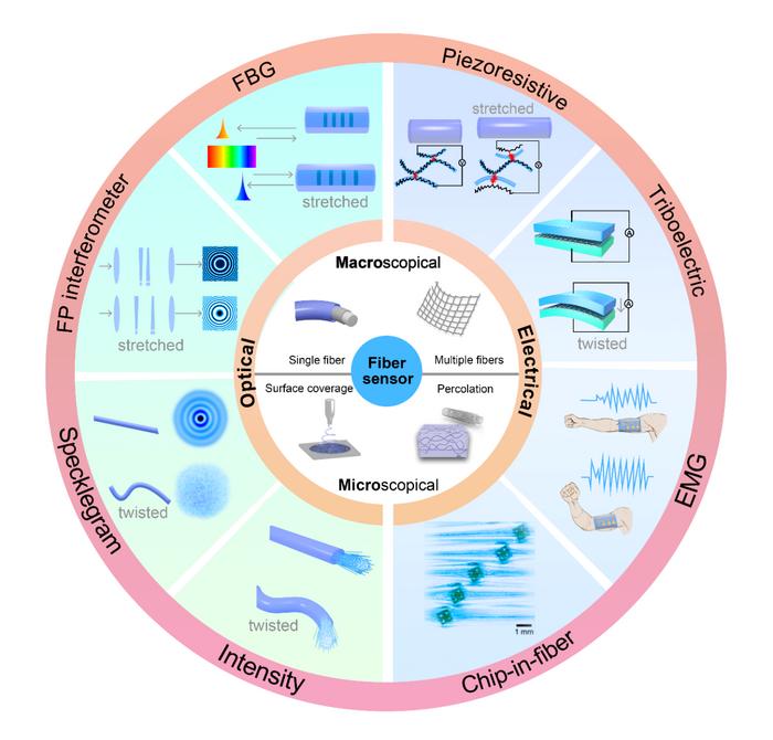 Categorization of wearable fib [IMAGE] | EurekAlert! Science News Releases