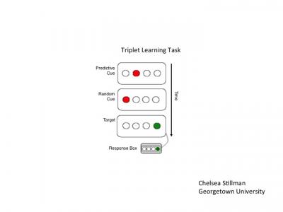 Triplet-Learning Task [IMAGE] | EurekAlert! Science News Releases