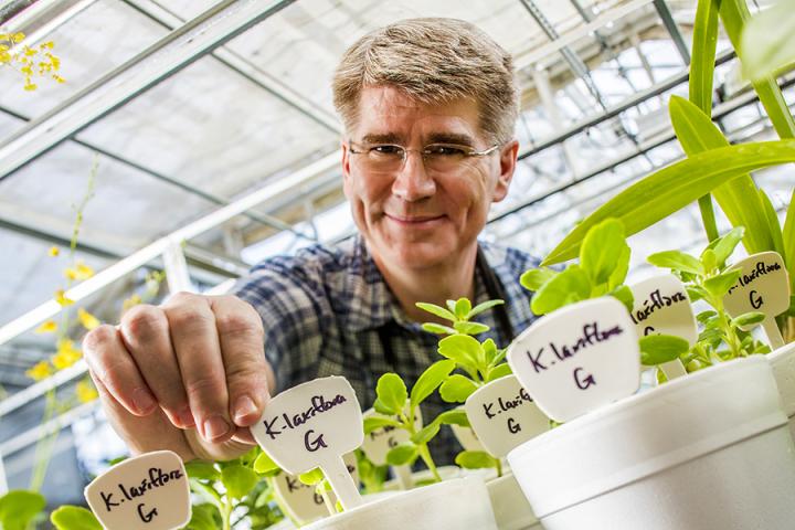 Biochemist and Microbiologist [IMAGE] | EurekAlert! Science News Releases