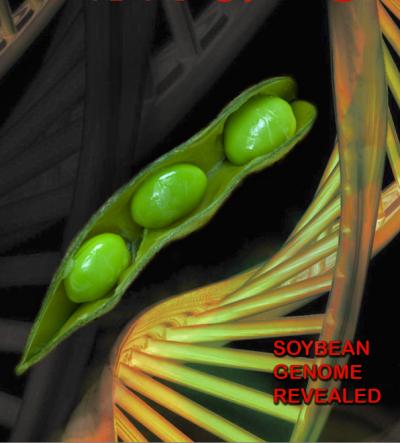 Soybean Genome [IMAGE] | EurekAlert! Science News Releases