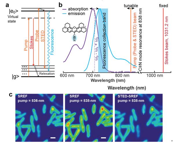 Figure 1| Direct coupling of S [IMAGE] | EurekAlert! Science News Releases