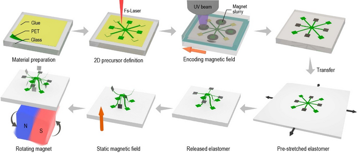 The fabrication process of MET [IMAGE] | EurekAlert! Science News Releases