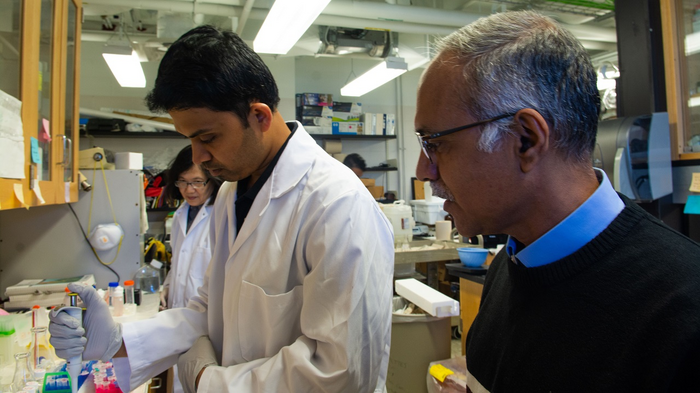 Raghuraman Kannan [IMAGE] | EurekAlert! Science News Releases