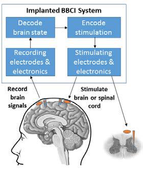 BBCI Graphic [IMAGE] | EurekAlert! Science News Releases