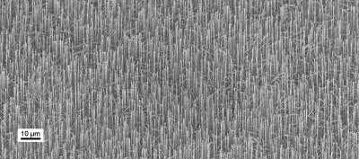 Semiconductor Nanowires [IMAGE] | EurekAlert! Science News Releases