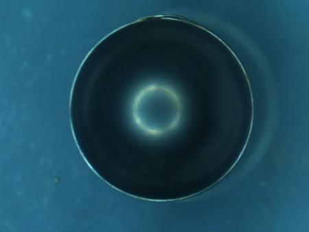 Diamond Shell [IMAGE] | EurekAlert! Science News Releases