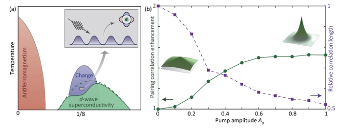 Light-induced d-wave supercond [IMAGE] | EurekAlert! Science News Releases