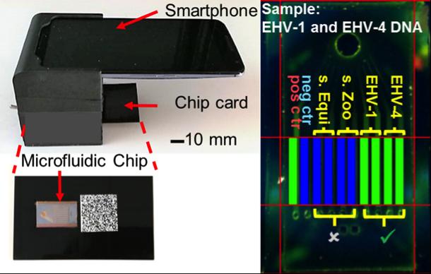 Smartphone POC Device [IMAGE] | EurekAlert! Science News Releases