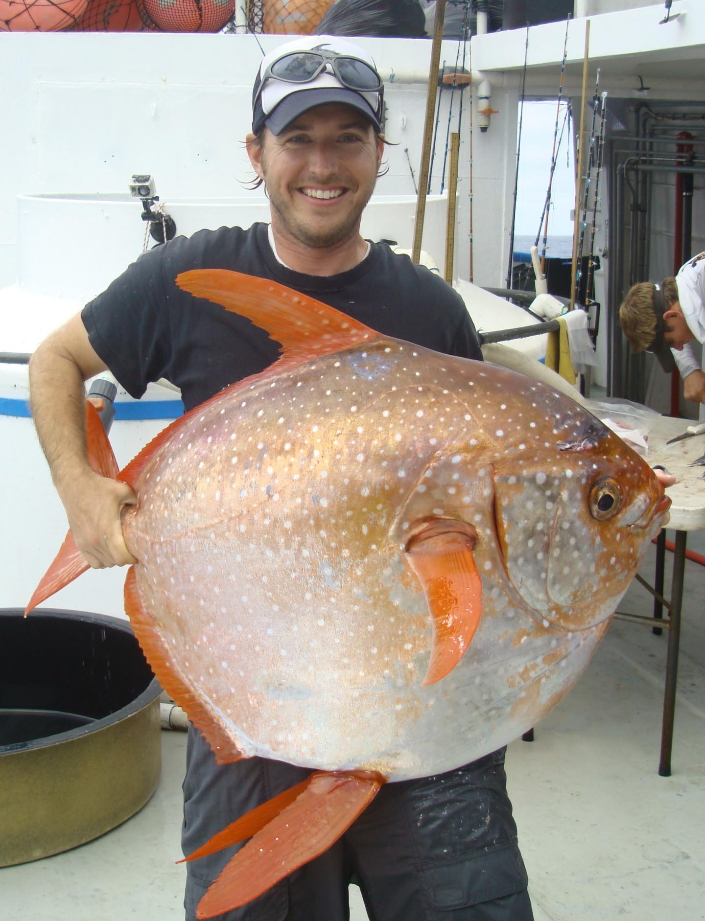 Holding an Opah [IMAGE] | EurekAlert! Science News Releases