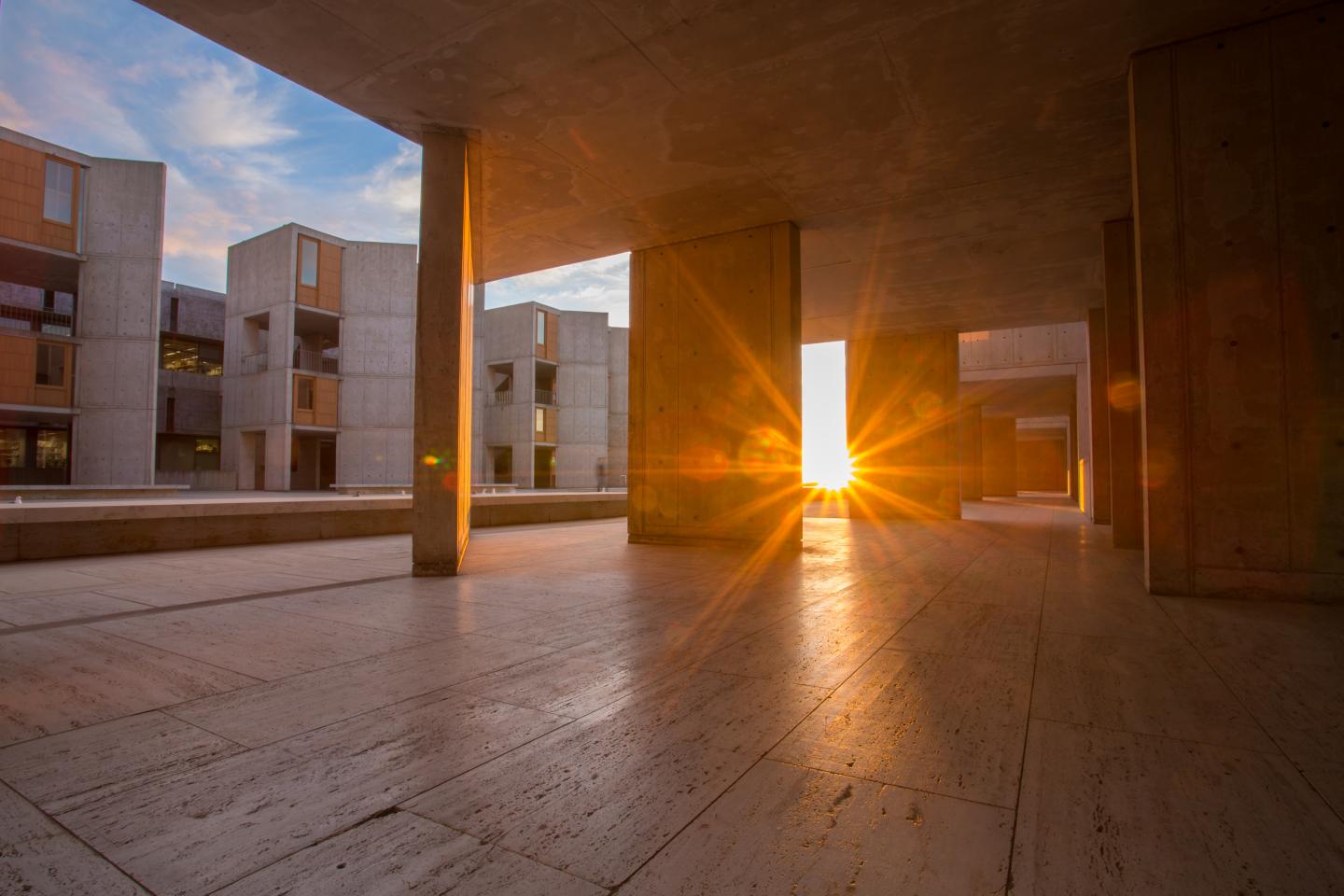 Sunset at the Salk Institute [IMAGE] | EurekAlert! Science News Releases