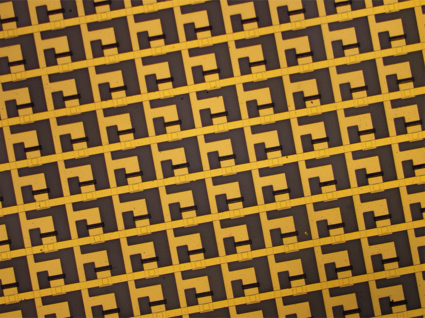 Array of synaptic transistors [IMAGE] | EurekAlert! Science News Releases