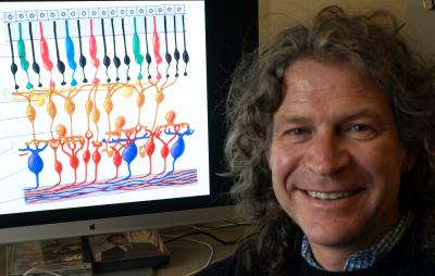 Richard Taylor, University of [IMAGE] | EurekAlert! Science News Releases