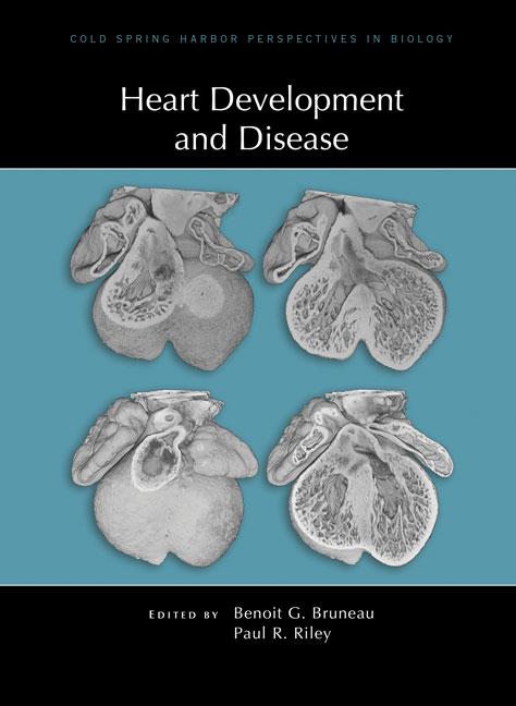 New book on heart development and disease fro | EurekAlert!