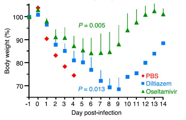 IAV Infected Mice Body Weight [IMAGE] | EurekAlert! Science News Releases