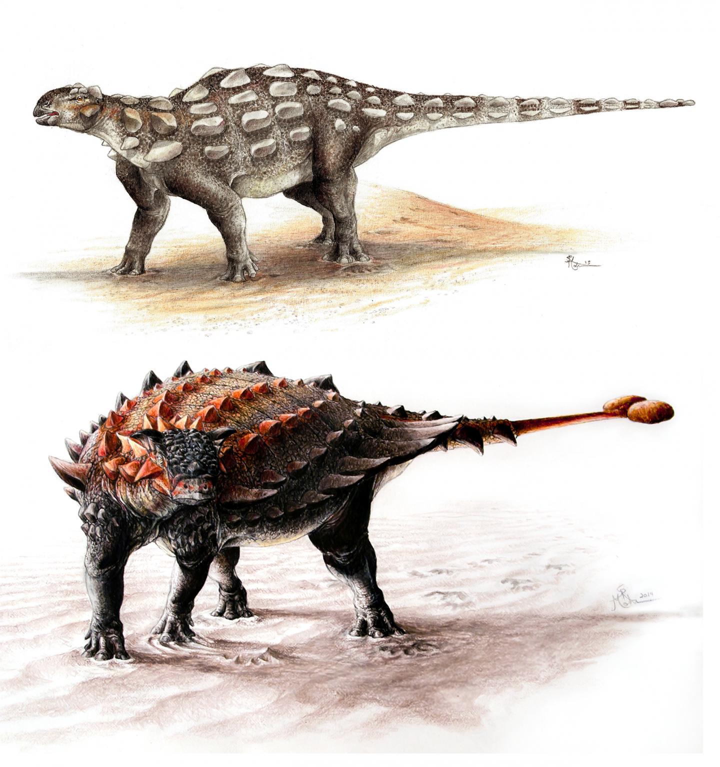 Gobisaurus and Ziape [IMAGE] | EurekAlert! Science News Releases