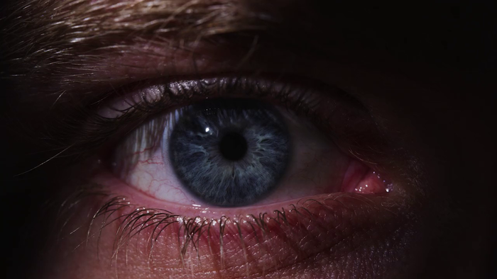 Mini2P – an open-source miniature brain micro | EurekAlert!