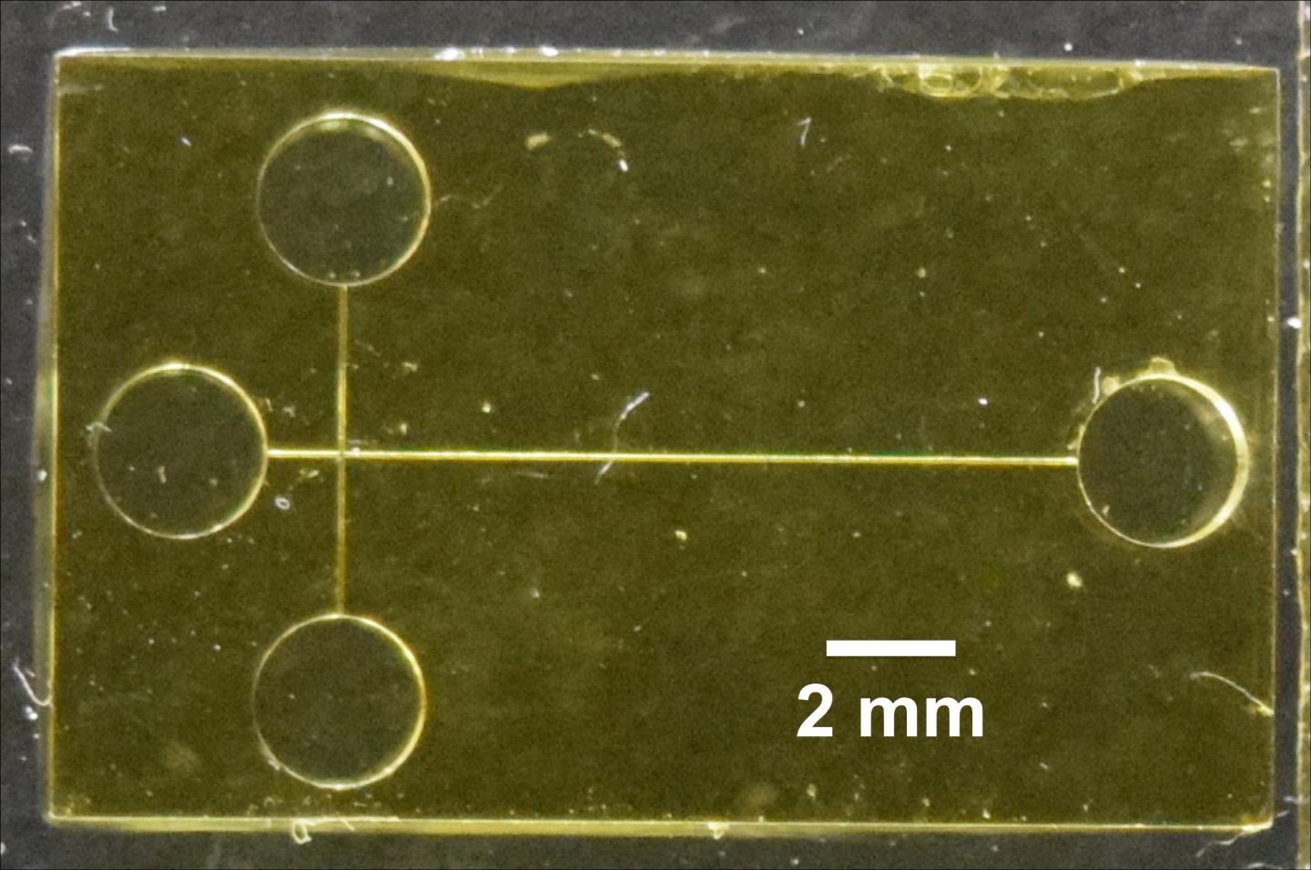 3D-Printed Device Detects Biom [IMAGE] | EurekAlert! Science News Releases