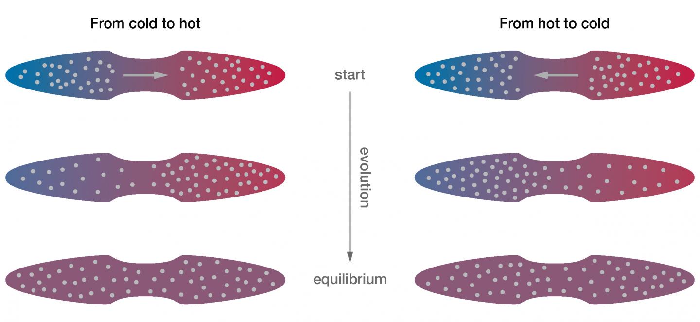 Two options for equilibration [IMAGE] | EurekAlert! Science News Releases