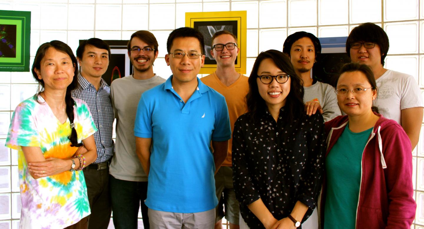 Members of Dr. Yao's Lab [IMAGE] | EurekAlert! Science News Releases