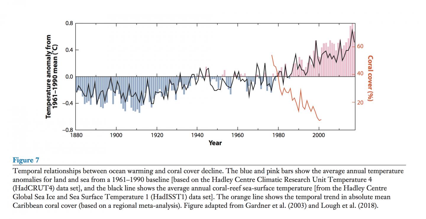 Temporal Relationships [IMAGE] | EurekAlert! Science News Releases